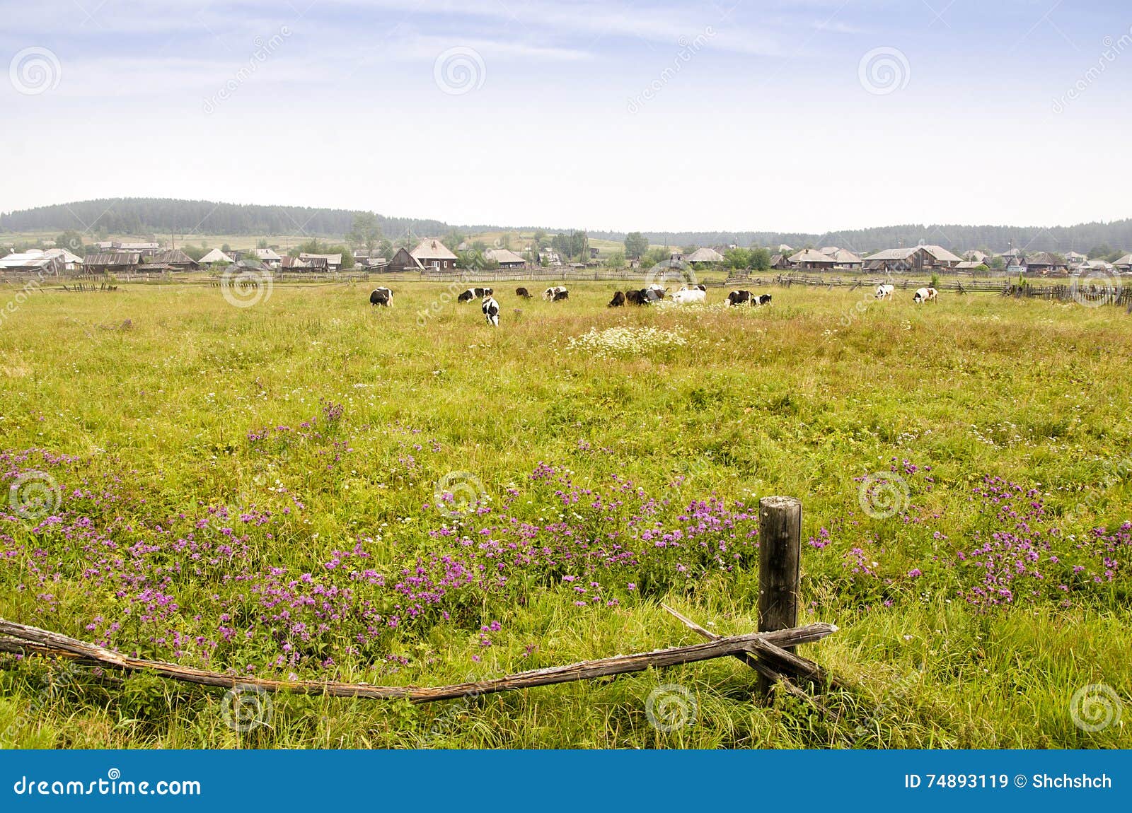 Grazing Herd Of Goats In The Fields, Dry Grass Royalty-Free Stock Image ... Grazing Herd Of Goats In The Fields, Dry Grass Royalty-Free Stock Image ...