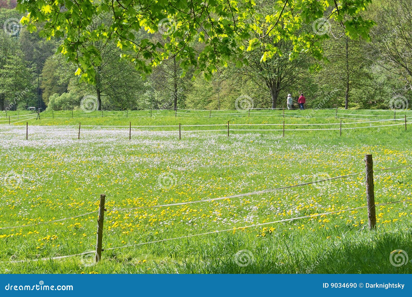 Grazing Land stock photo. Image of environment, person - 9034690