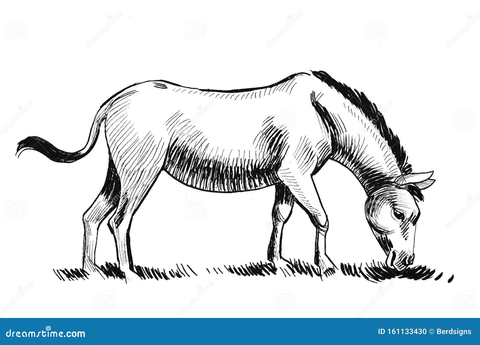 Grazing mule stock illustration. Illustration of farm - 161133430