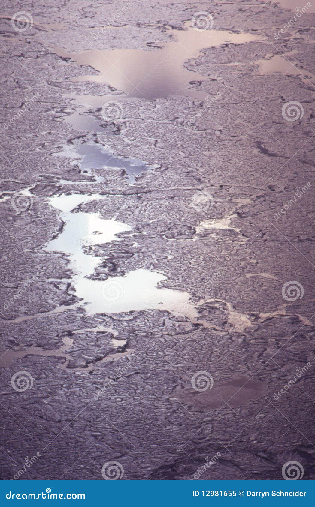 Grease Ice stock image. Image of grease, coast, antarctica - 12981655