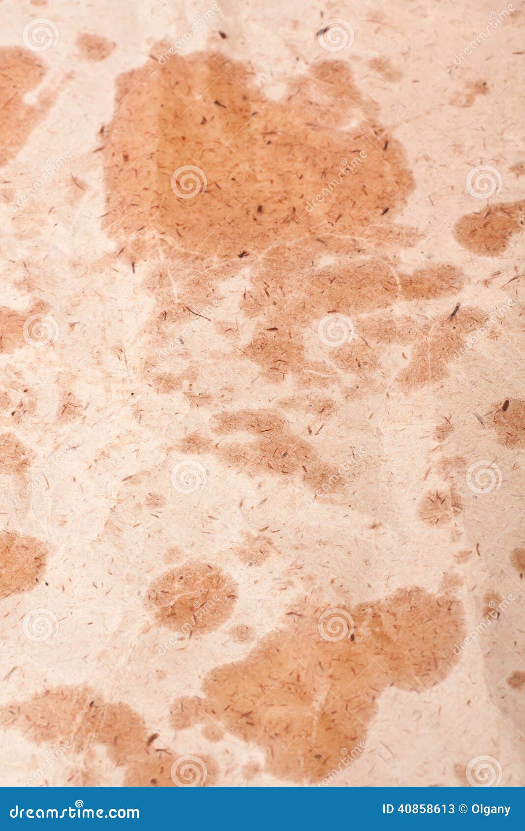 Greasy Cardboard Background Stock Image - Image of crumpled, pattern ...