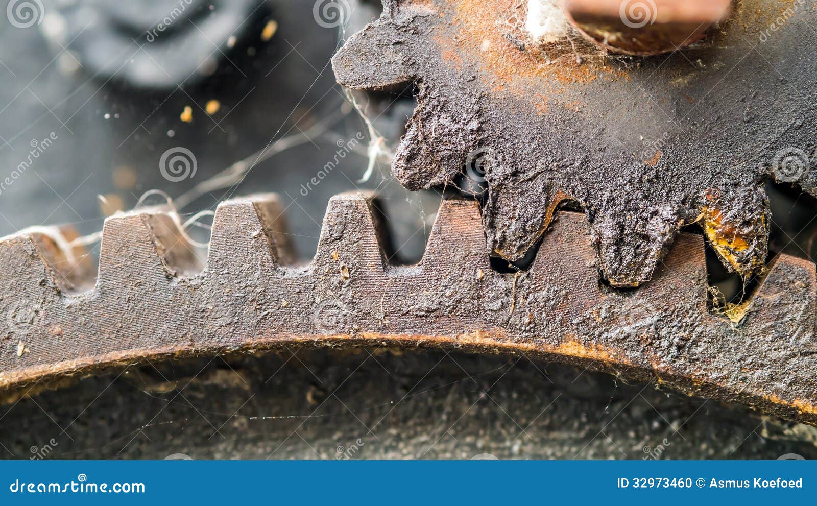 Greasy gear cogs stock photo. Image of science, machine - 32973460