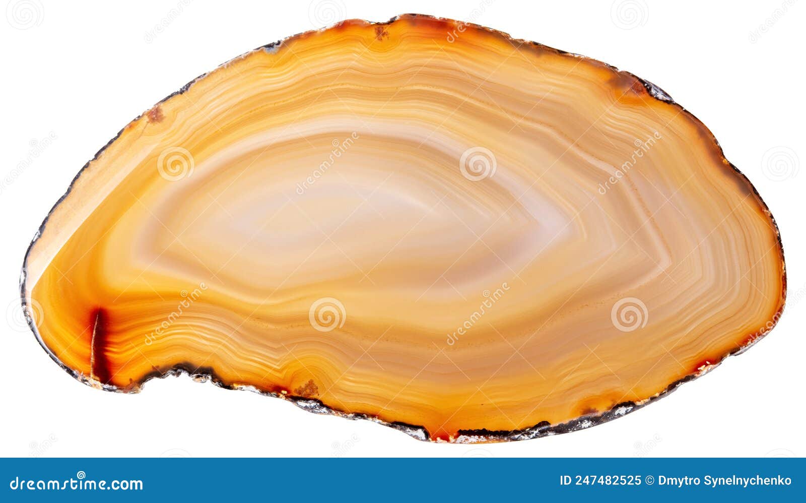 Great Agate in Expensive Orange Color for Design Work. Stock Image ...