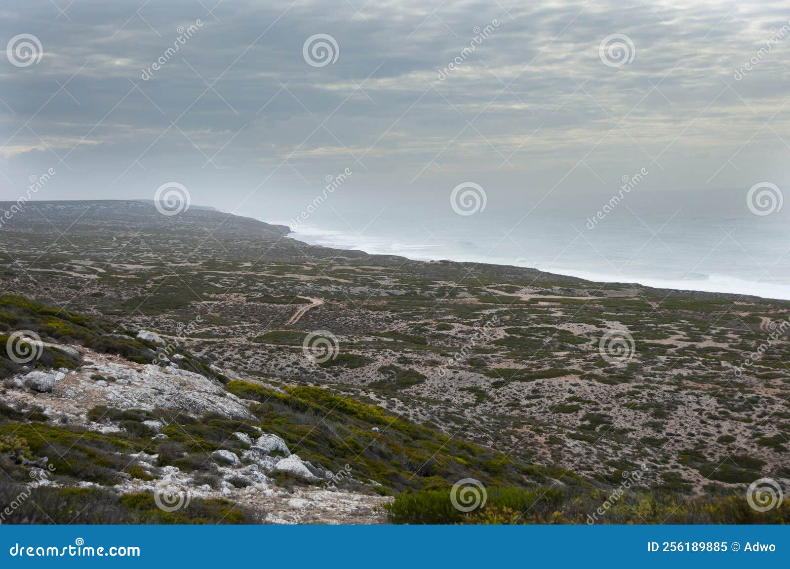 Great Australian Bight stock image. Image of great, scene - 256189885