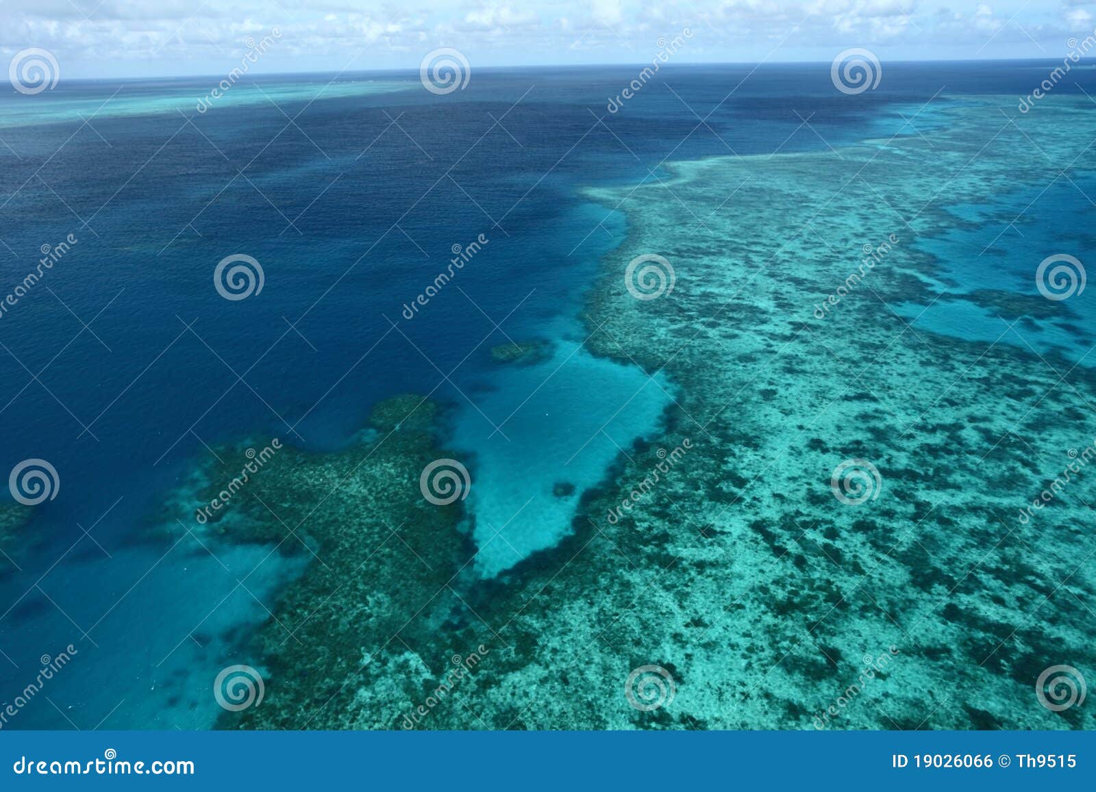 Great Barrier Reef stock photo. Image of ocean, clean - 19026066