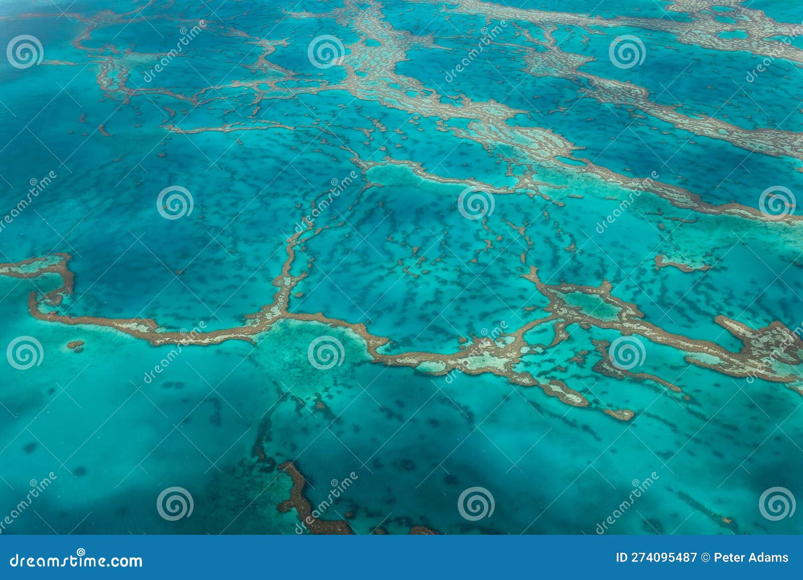 Great Barrier Reef, Queensland, Australia Stock Image - Image of reefs ...