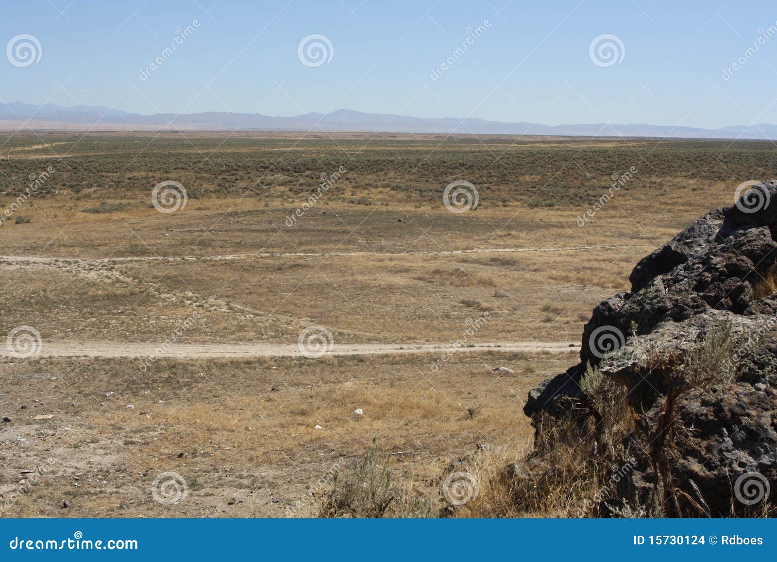 Great Basin Rattlesnake Subspecies Of Crotalus Lutosus. Sitting ...