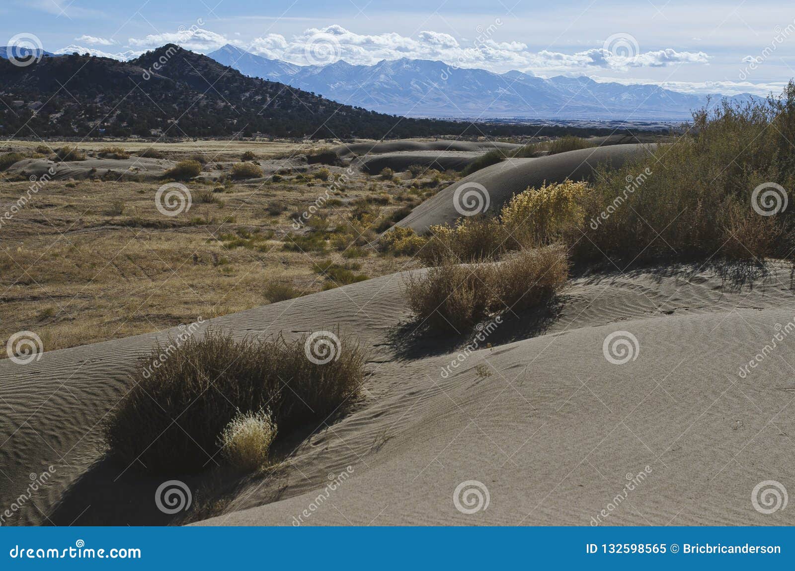 The Great Basin Landscape in the Autumn Sun Stock Image - Image of ...