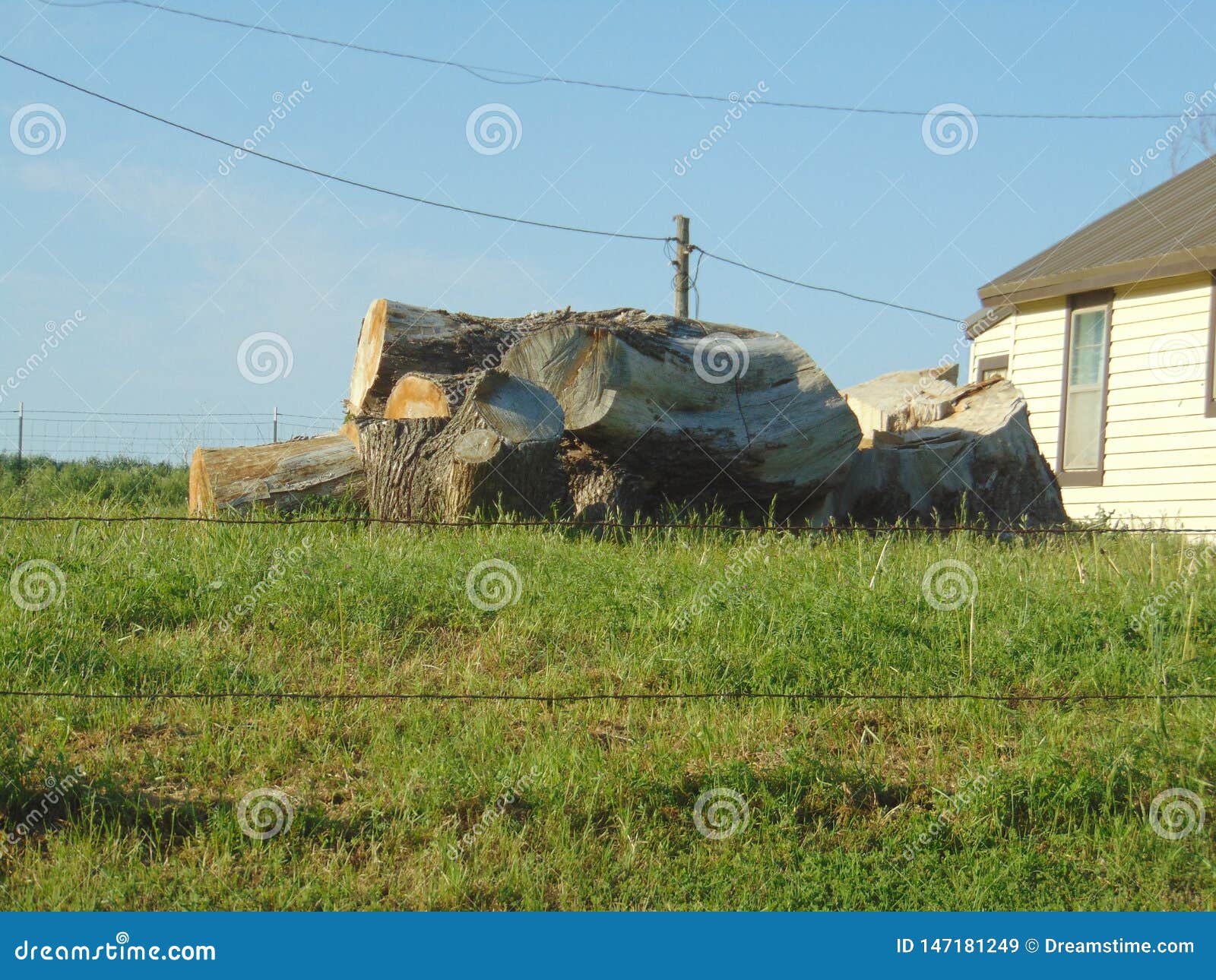 Great big log pile stock image. Image of pile, huge - 147181249