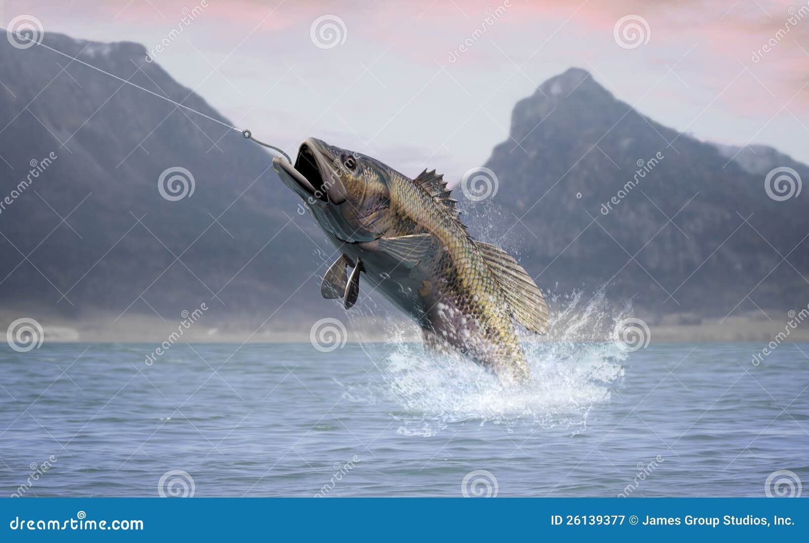 Great Catch stock image. Image of water, nature, lure - 26139377
