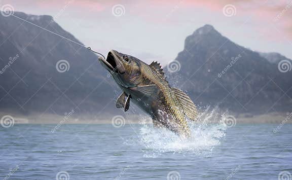 Great Catch stock image. Image of water, nature, lure - 26139377