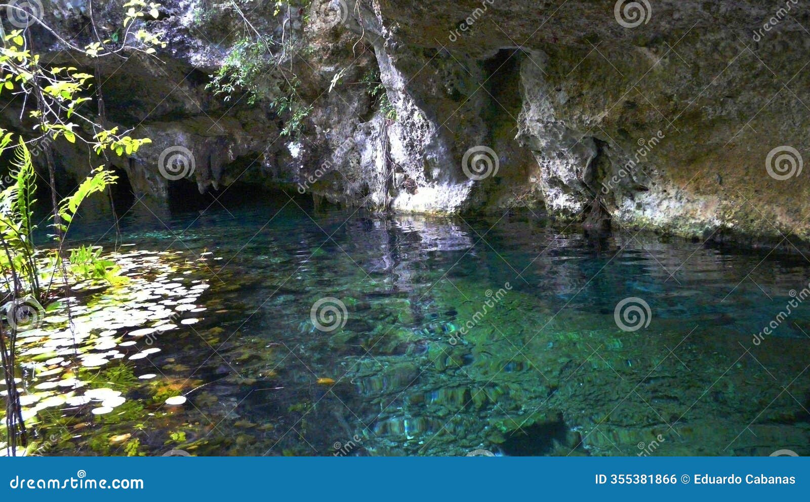 Great Cenote, Tulum, Quintana Roo, Mexico Stock Photo - Image of spring ...