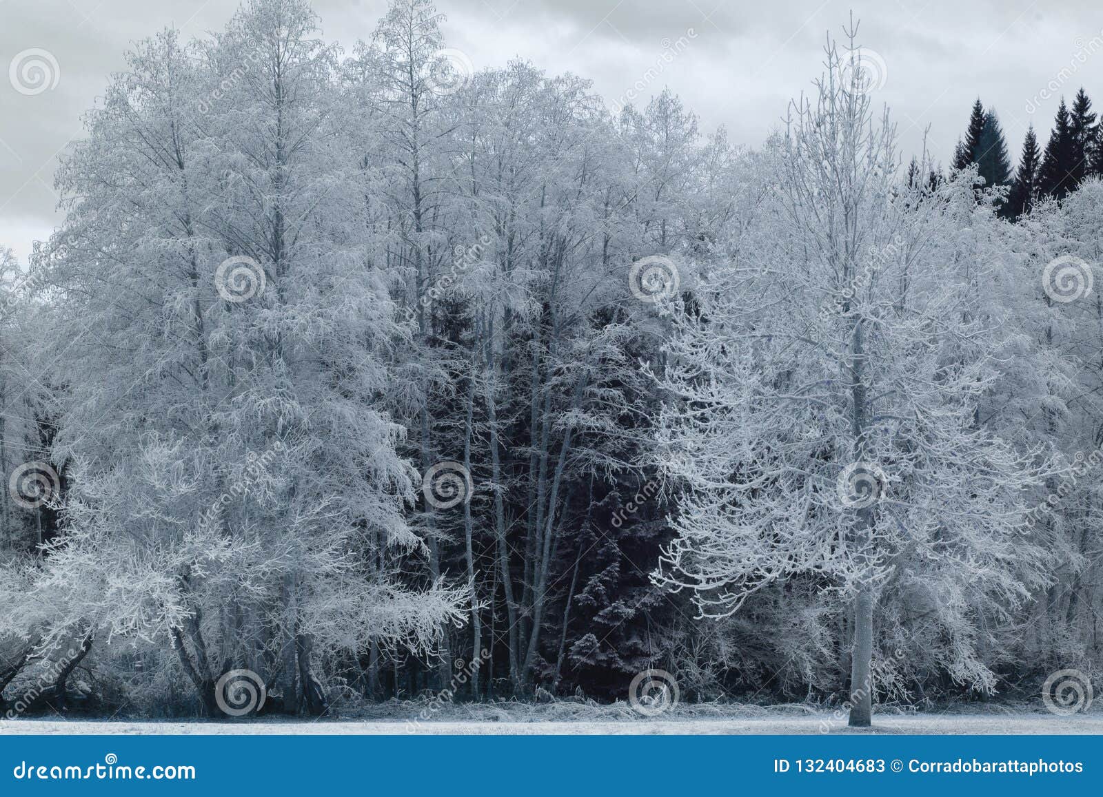 The Great Cold Comes from the North Pole Stock Image - Image of ...