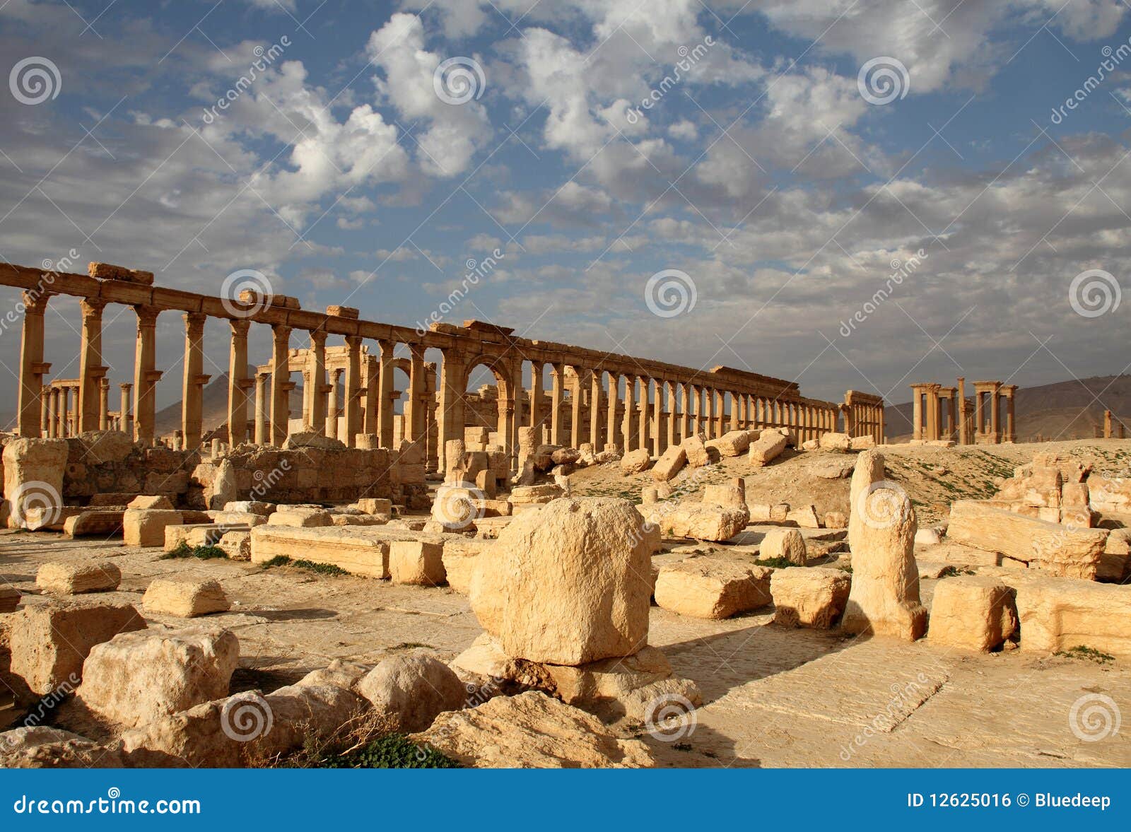 The Great Colonnade of Palmyra Stock Photo - Image of archeological ...