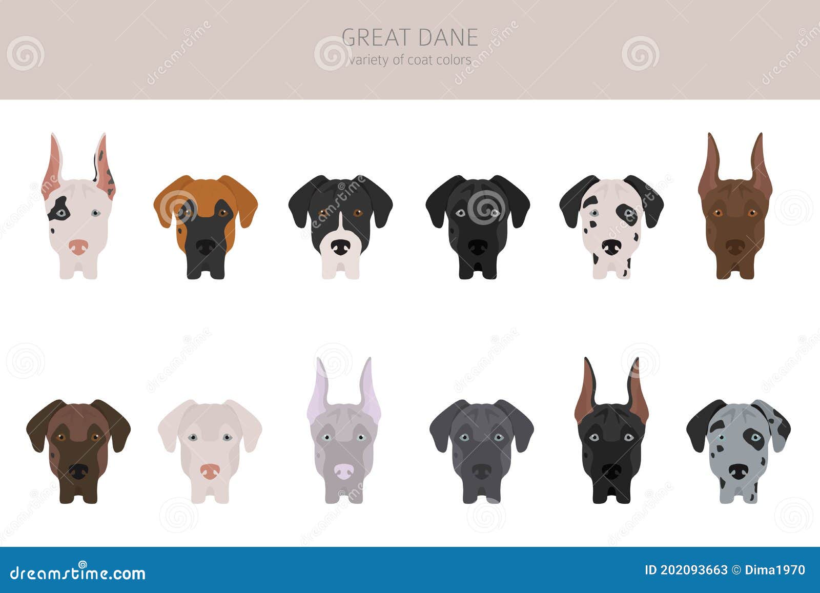 Great Dane. Different Varieties of Coat Color Dog Set Stock Vector ...
