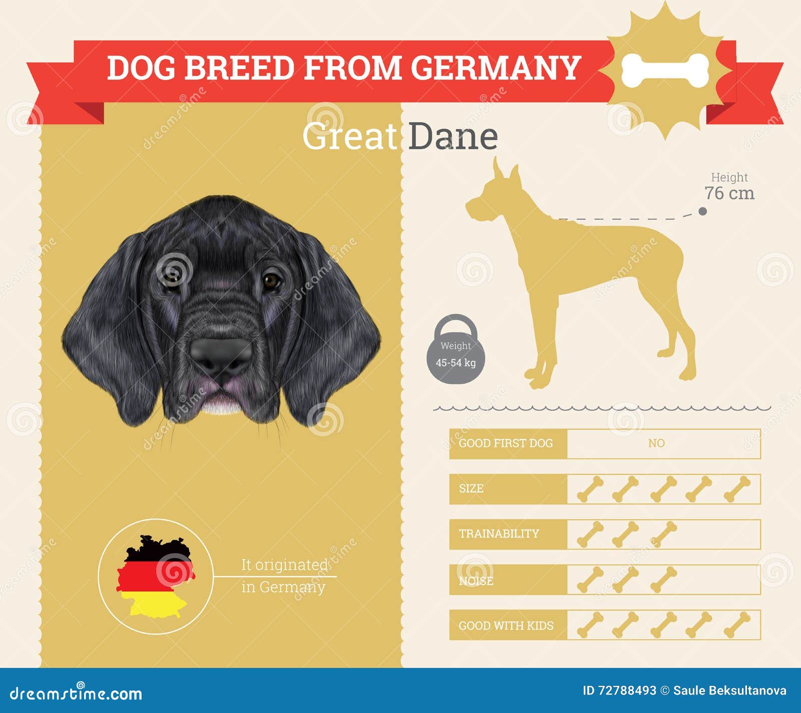 Great Dane Dog Breed Infographics. Stock Illustration - Illustration of ...