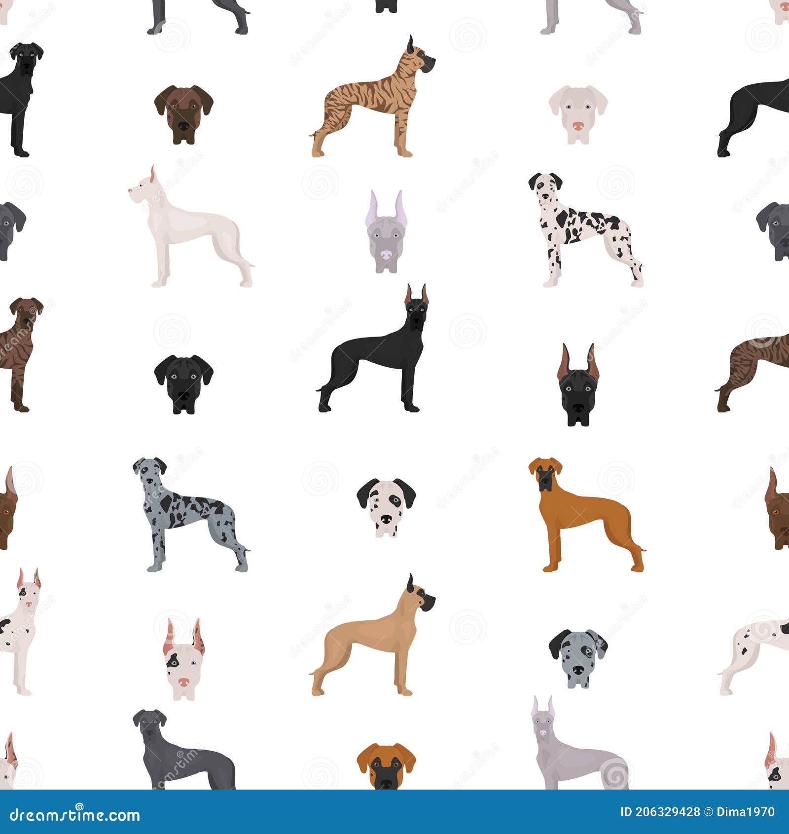 Great Dane Seamless Pattern. Different Variaties of Coat Color Dog Set ...