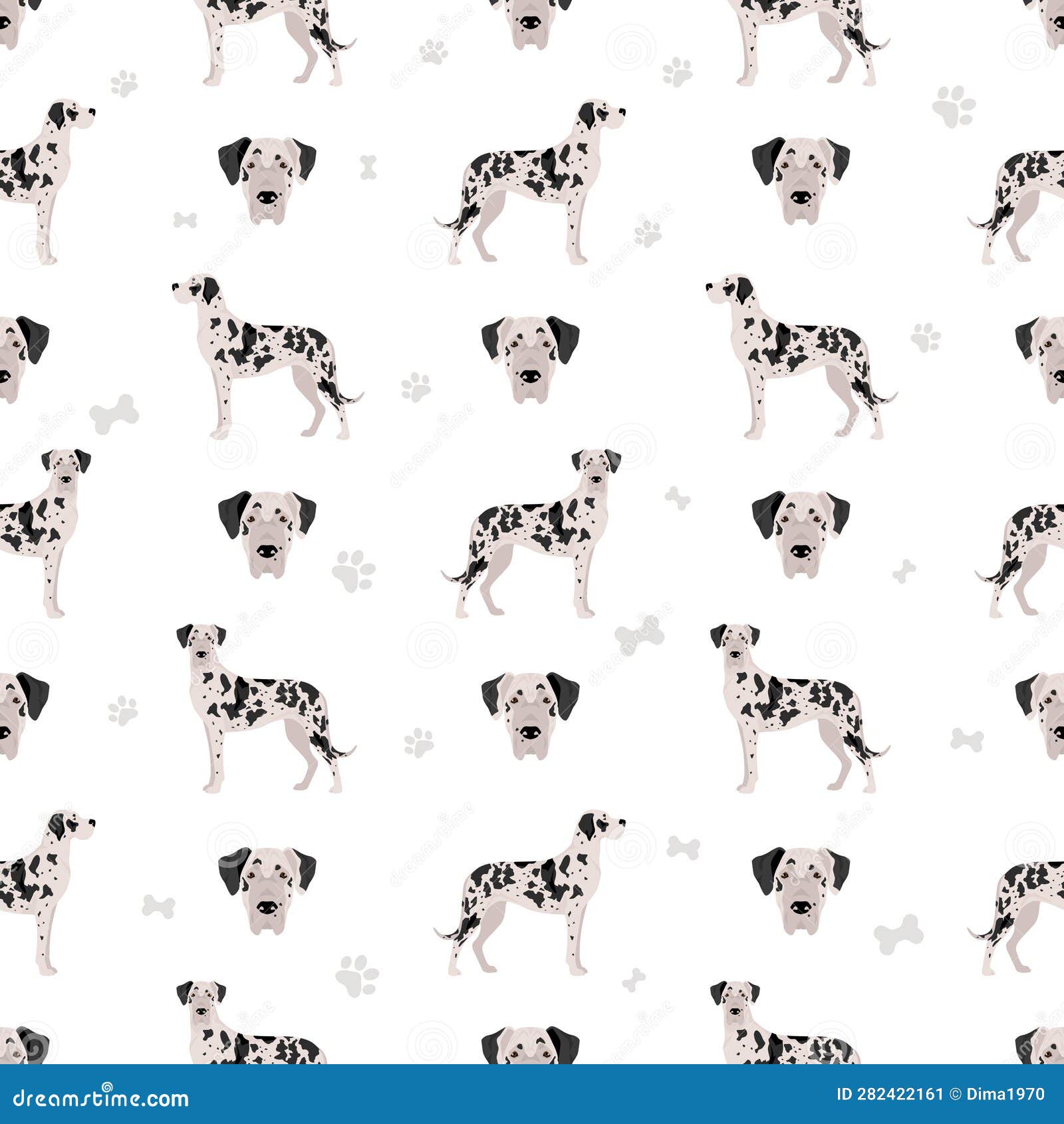 Great Dane Seamless Pattern. Different Variaties of Coat Color Dog Set ...