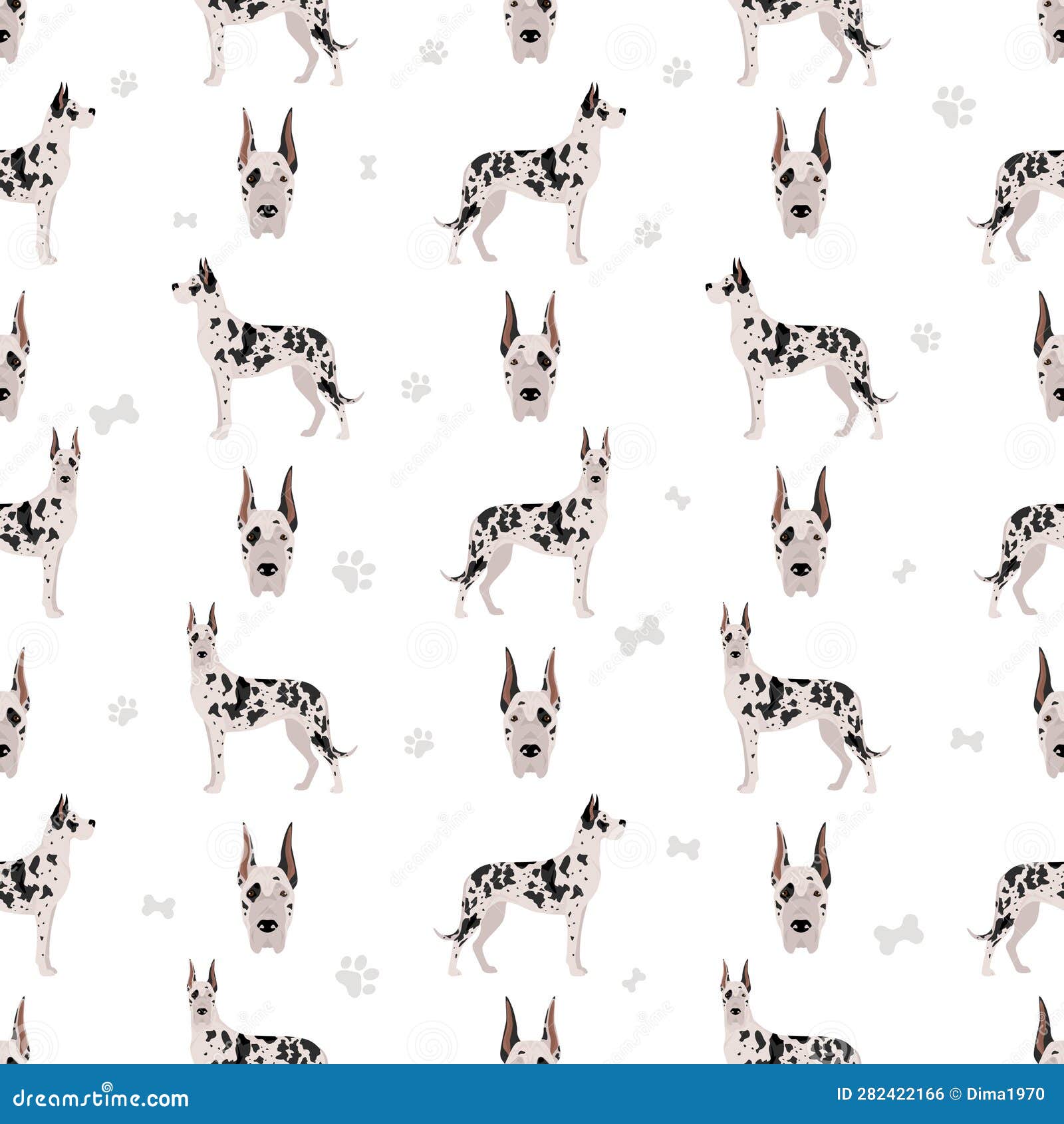 Great Dane Seamless Pattern. Different Variaties of Coat Color Dog Set ...