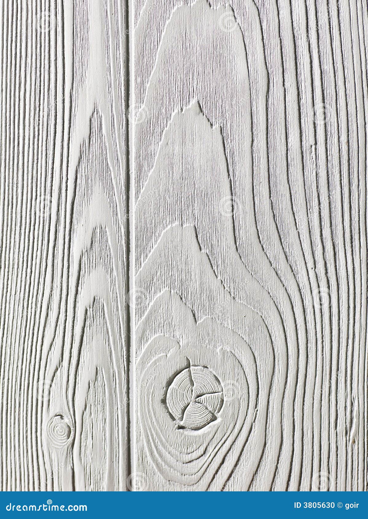 Great detail texture stock photo. Image of backgrounds - 3805630