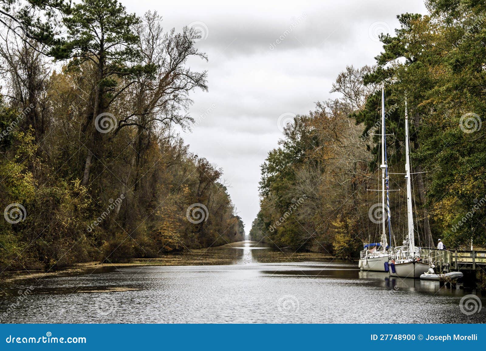 Great Dismal Swamp Canal stock photo. Image of swamp - 27748900