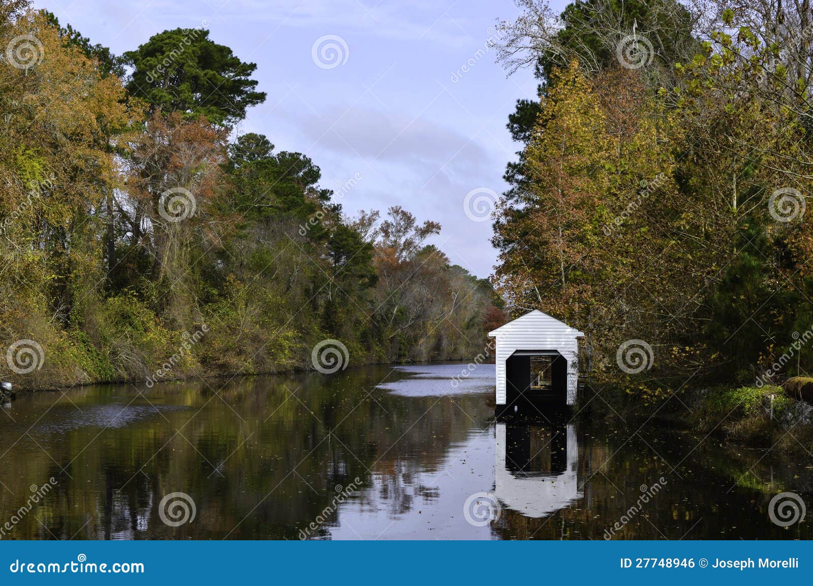 Great Dismal Swamp Canal stock photo. Image of inland - 27748946