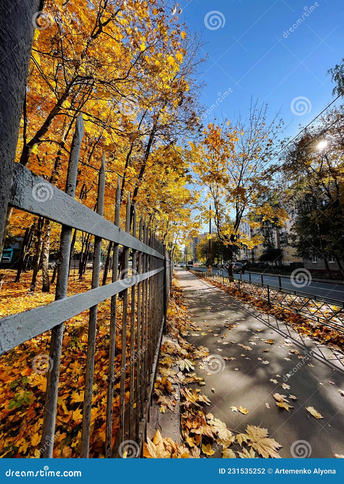 Great fall stock photo. Image of leaves, nature, fallen - 231535252