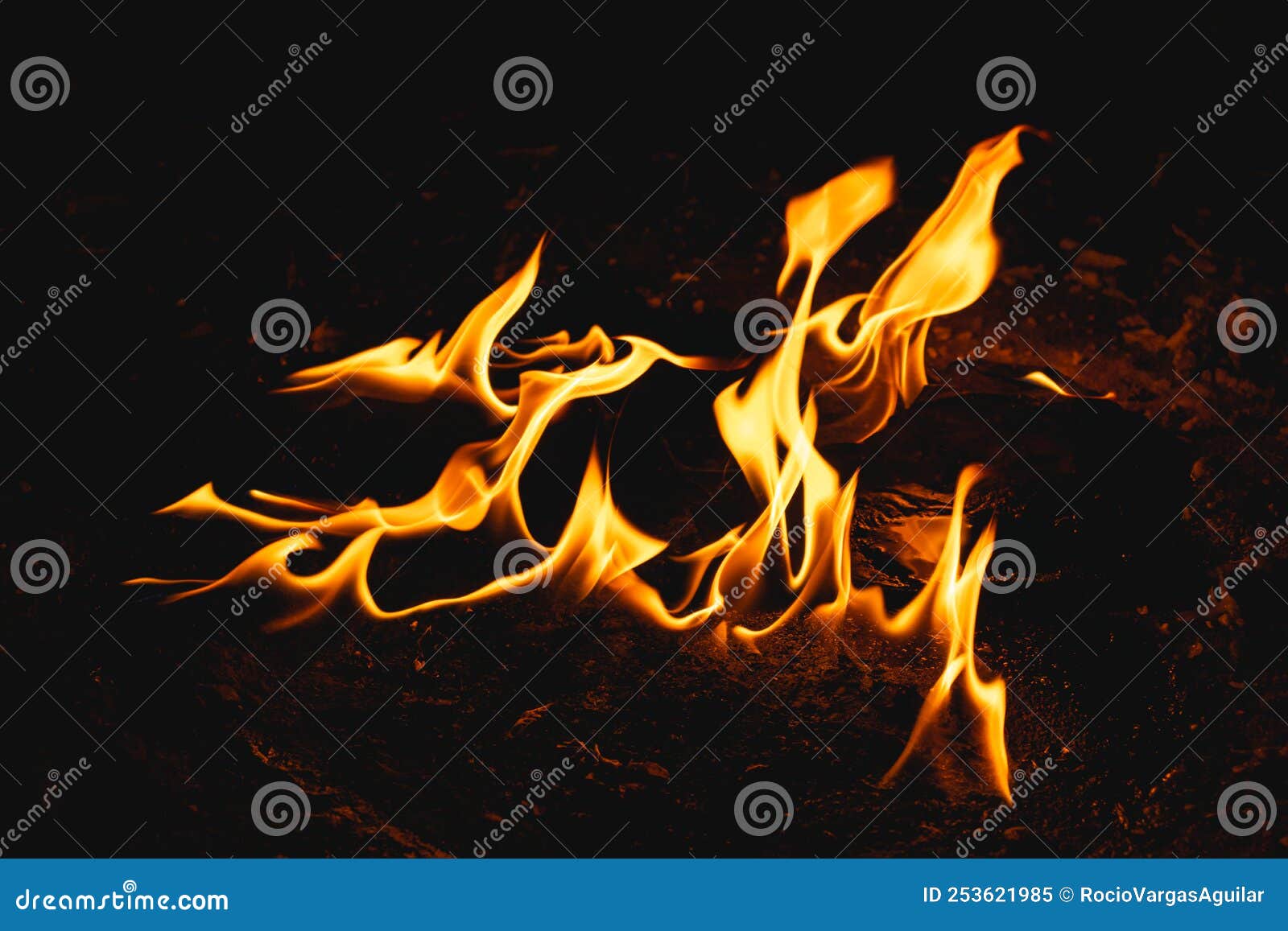 Flames of Fire Burning on the Ground Stock Image - Image of bushfire ...