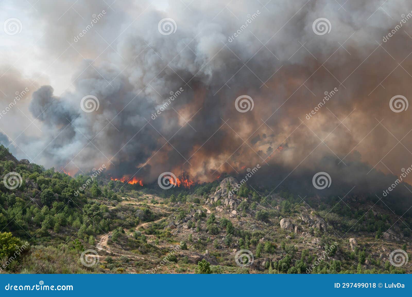 The great forest fire stock photo. Image of burnt, campfire - 297499018
