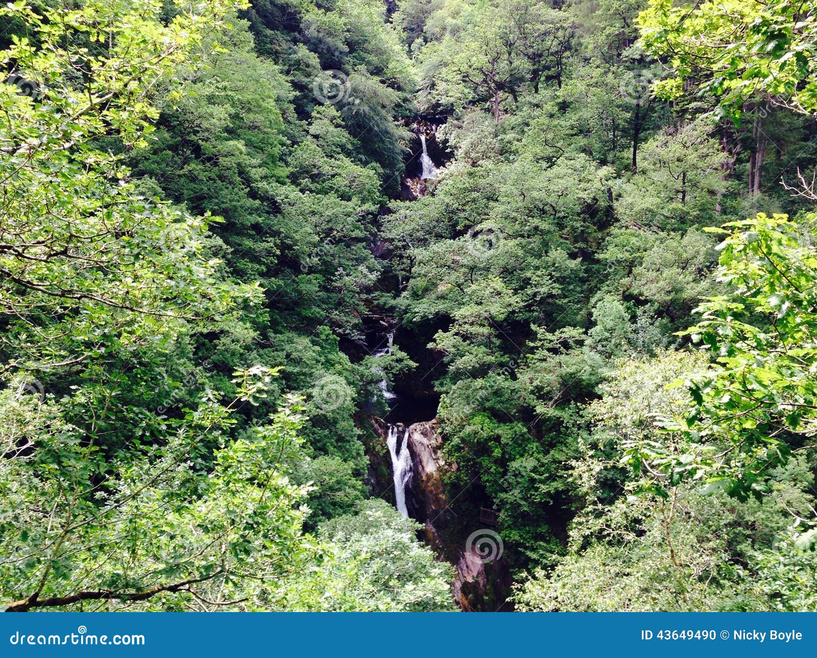 Great Free Running Stream Freedom Stock Photo - Image of freedom ...