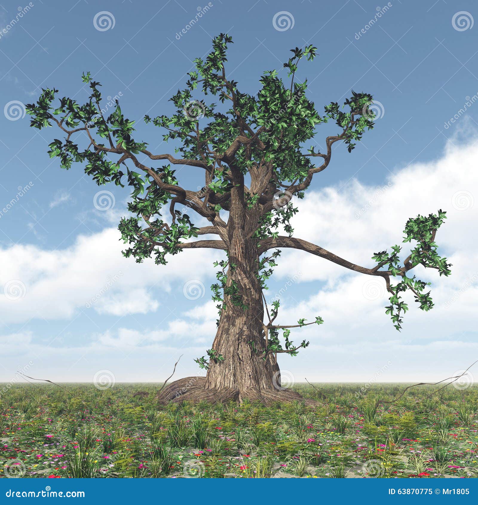 Gnarled Cartoons, Illustrations & Vector Stock Images - 870 Pictures to ...