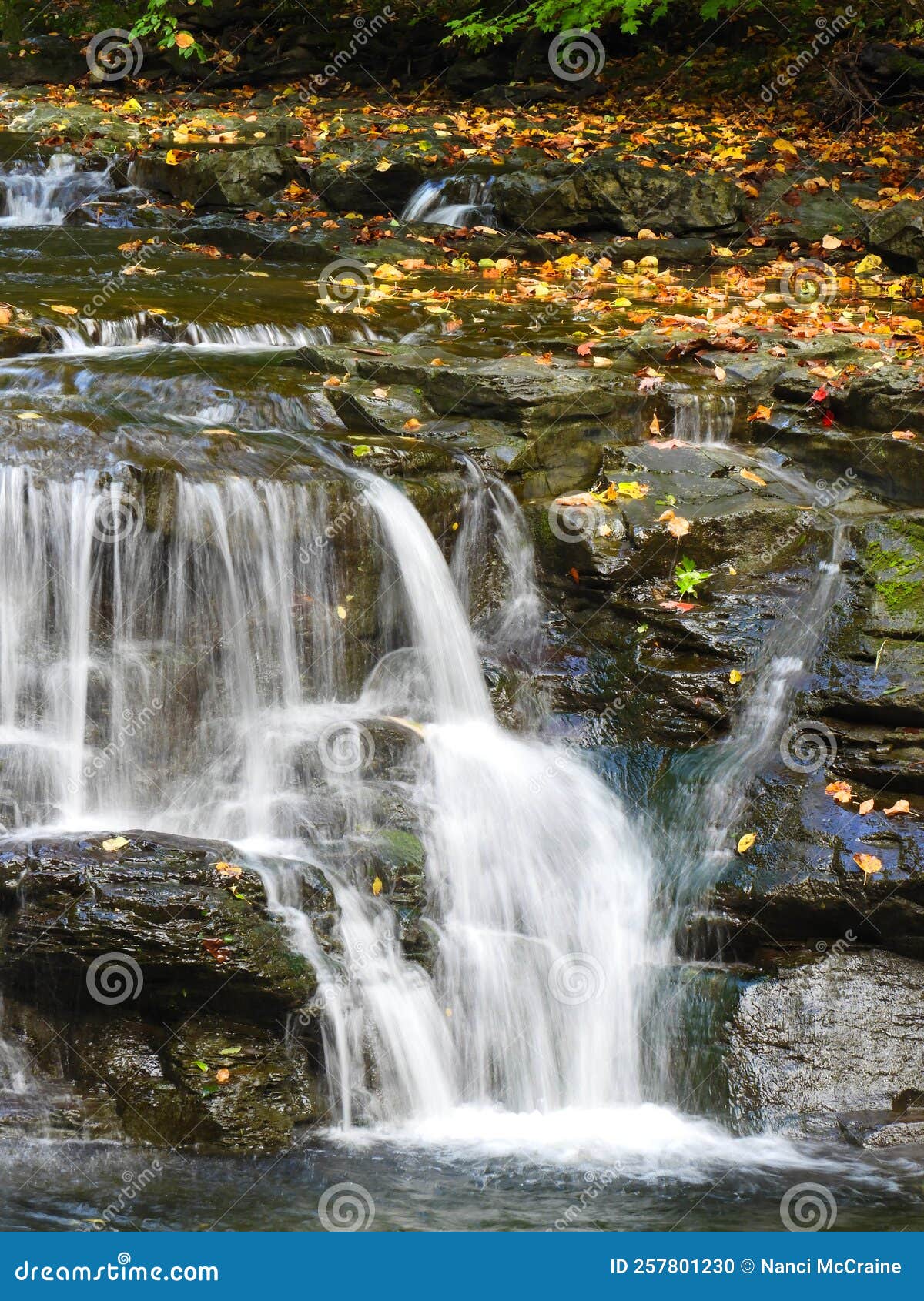 Great Gully Lower Waterfall Covered in Fall Leaves Stock Photo - Image ...