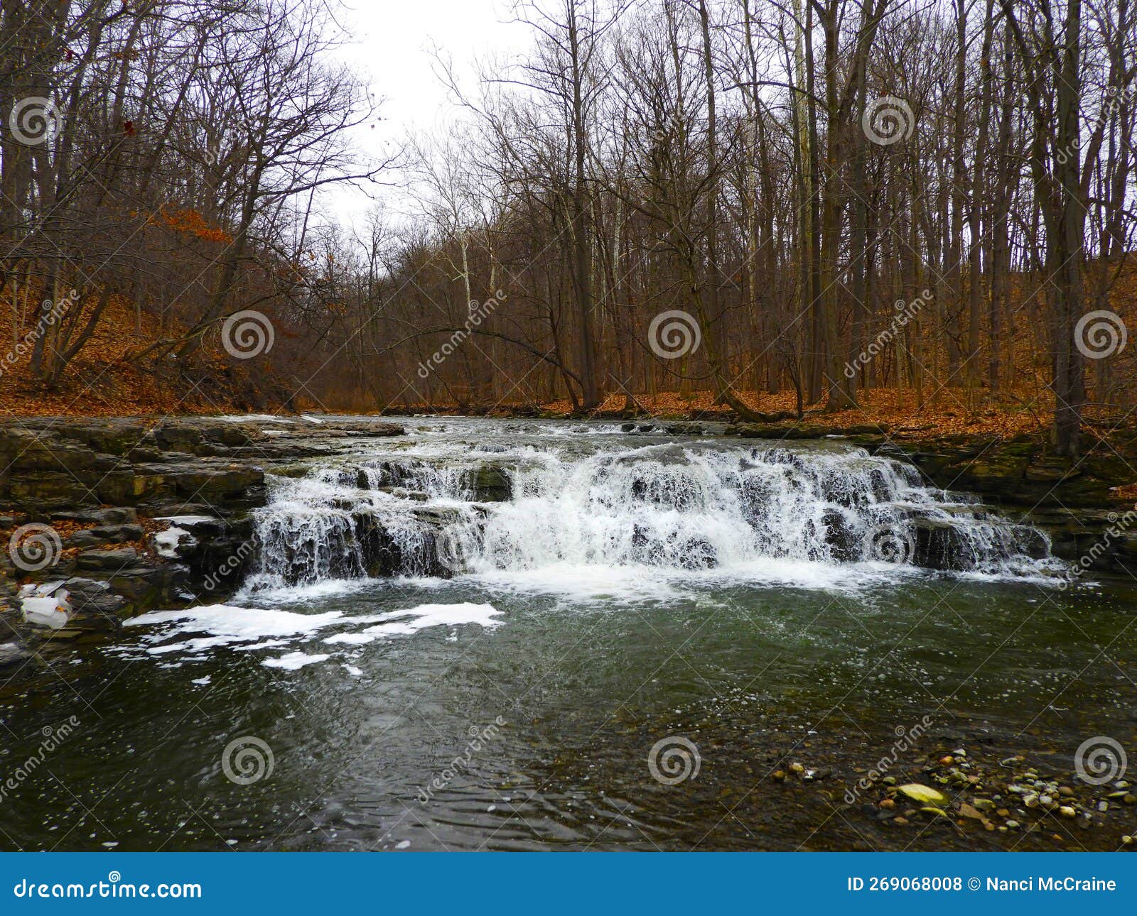 Great Gully Creek Waterfall in Woods during Late Winter Stock Photo ...
