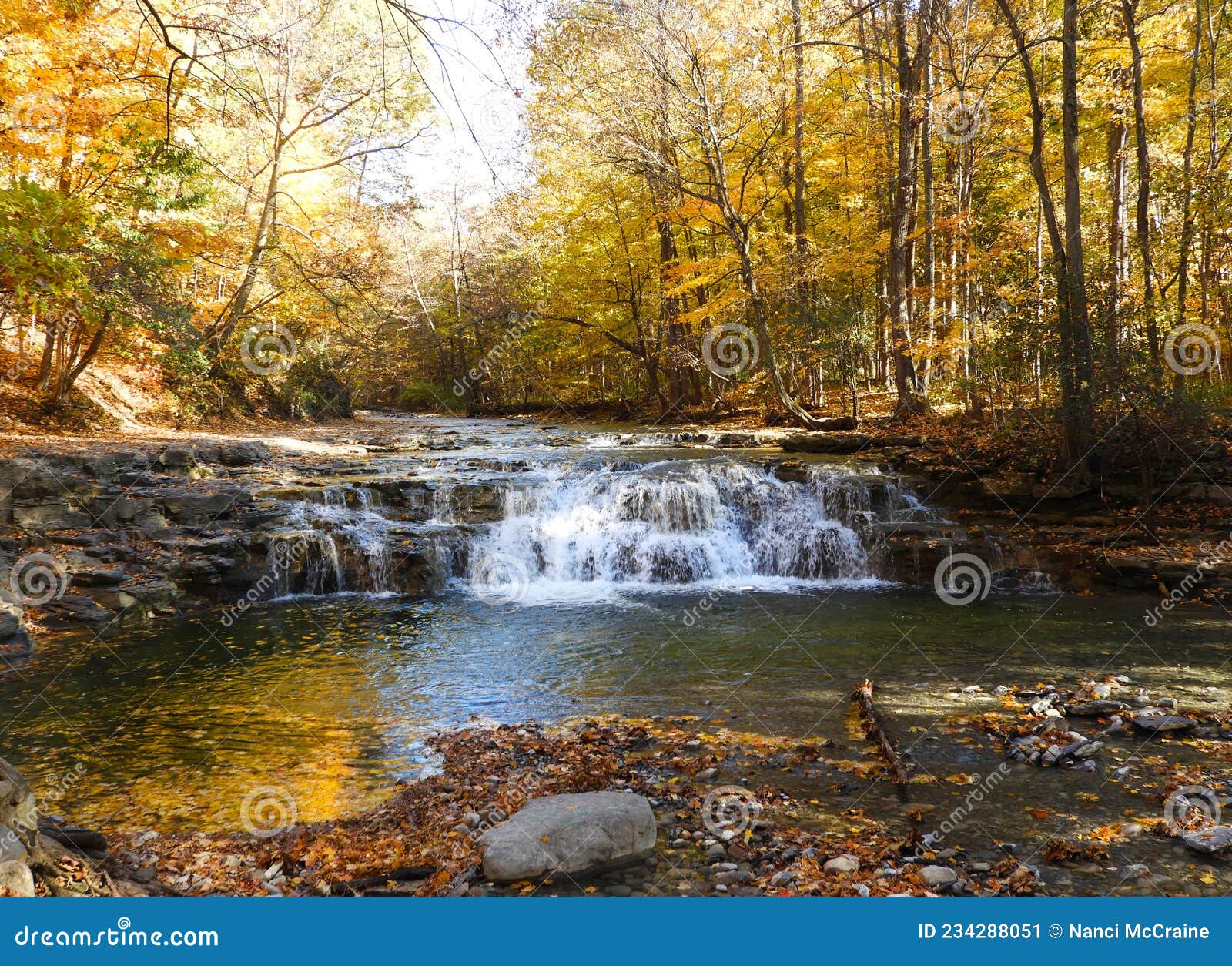 Great Gully First Falls in Golden Hues of Autumn Season Stock Image ...