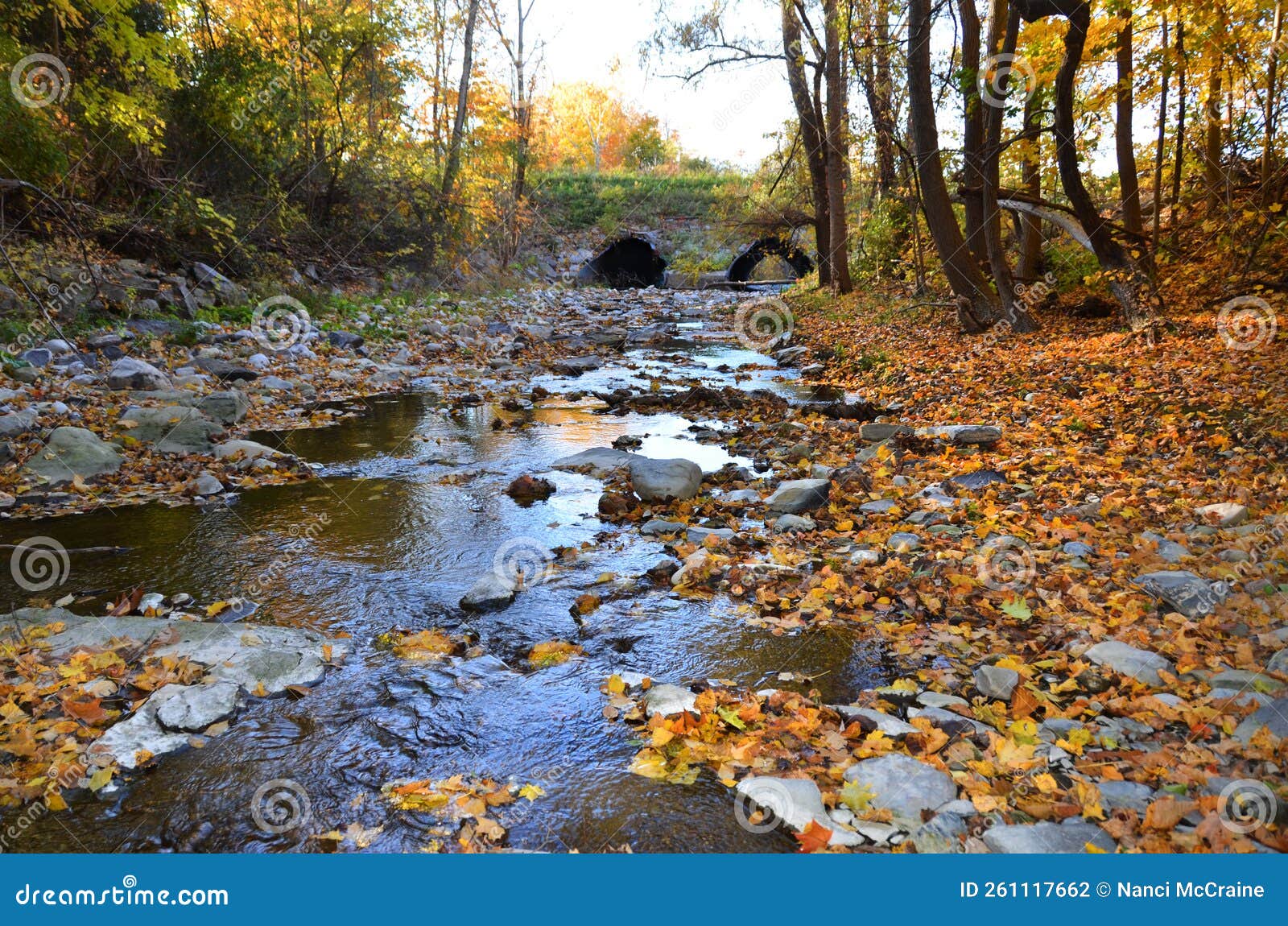 Great Gully Stone Culvert Under Bridge Above Cayuga Lake FLX Stock ...