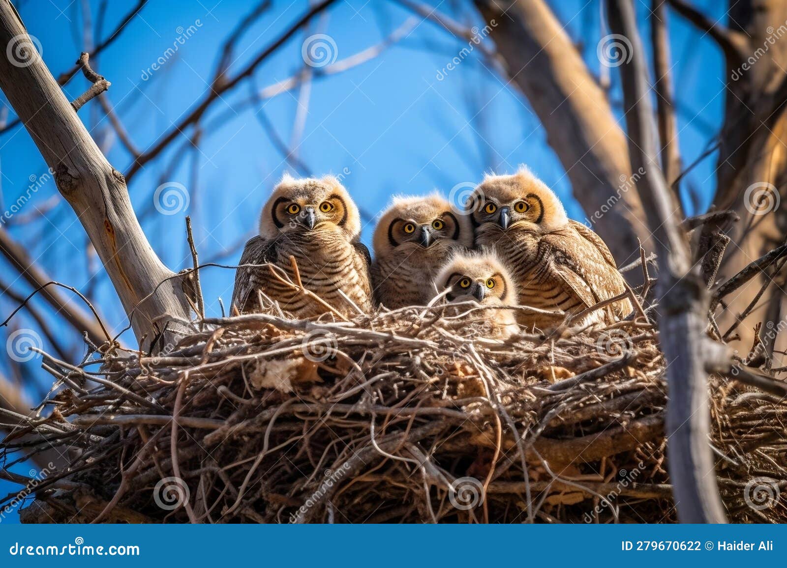 Great Horned Owl Nest Image. Generative AI Stock Illustration - Illustration of detailed ...