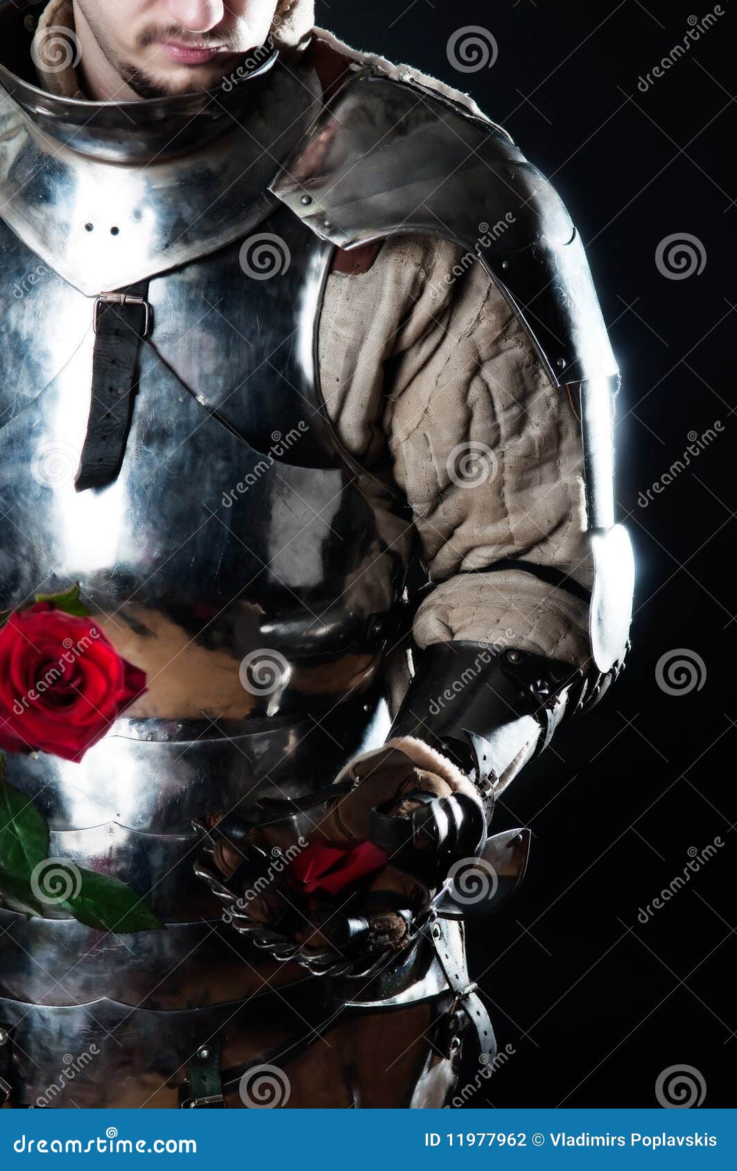 Great Knight Looking at Beautiful Flower Stock Photo - Image of plate ...