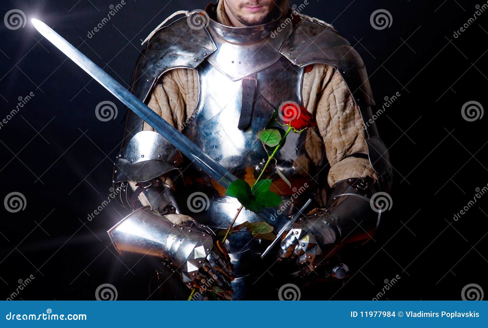 Great Knight Looking at Beautiful Flower Stock Photo - Image of frame ...