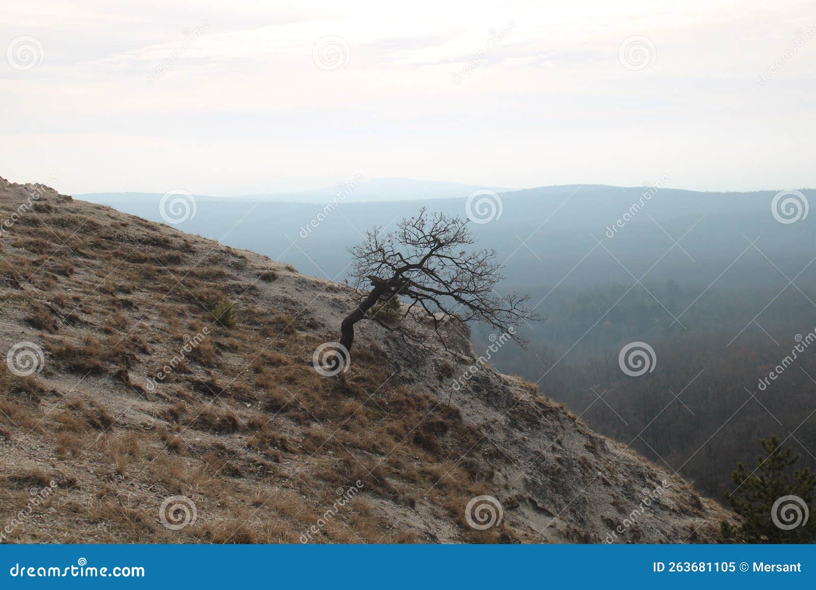 Mountains at Budakeszi stock image. Image of travel - 263681105