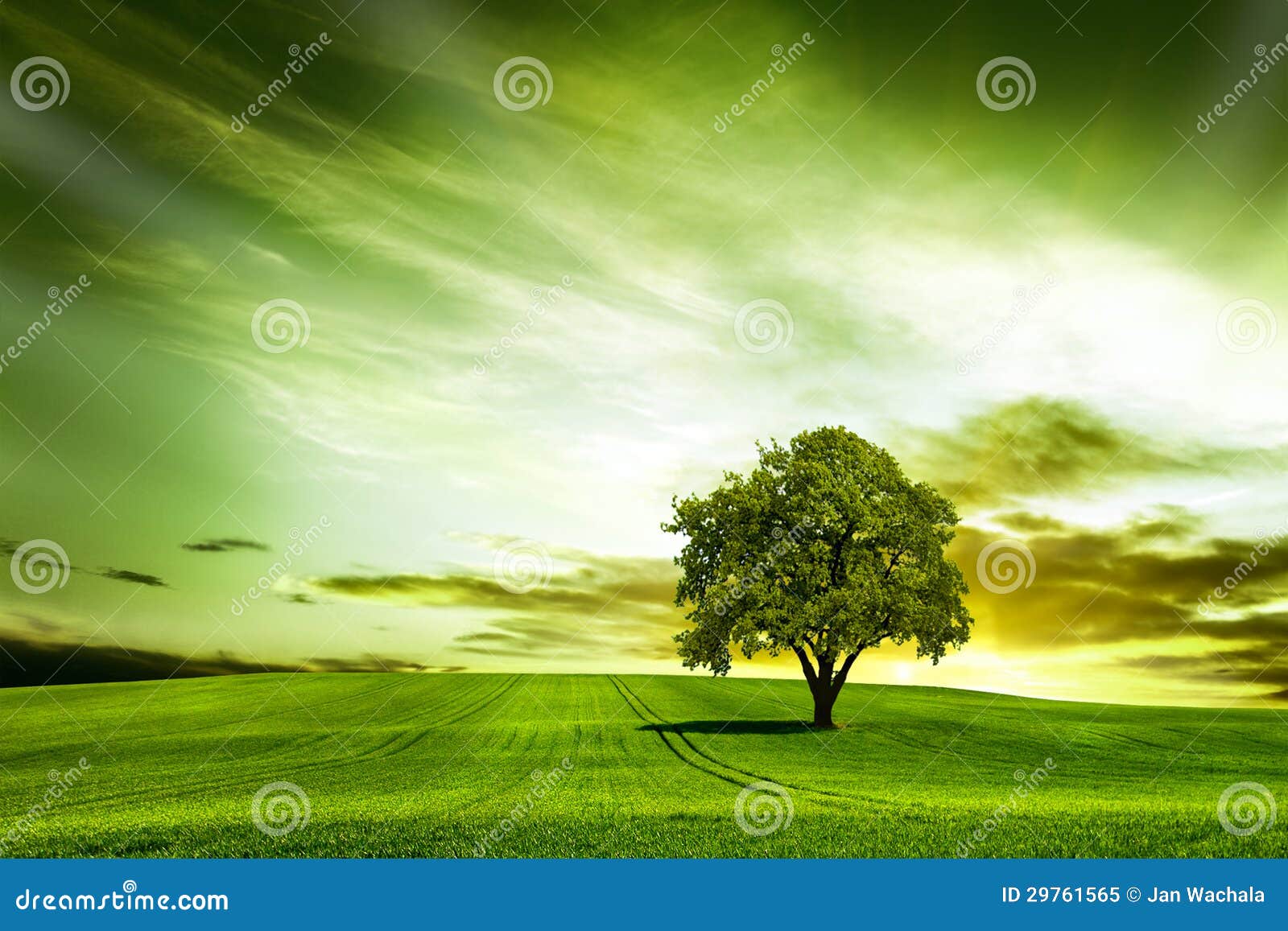Great nature at sunset stock image. Image of planet, spring - 29761565