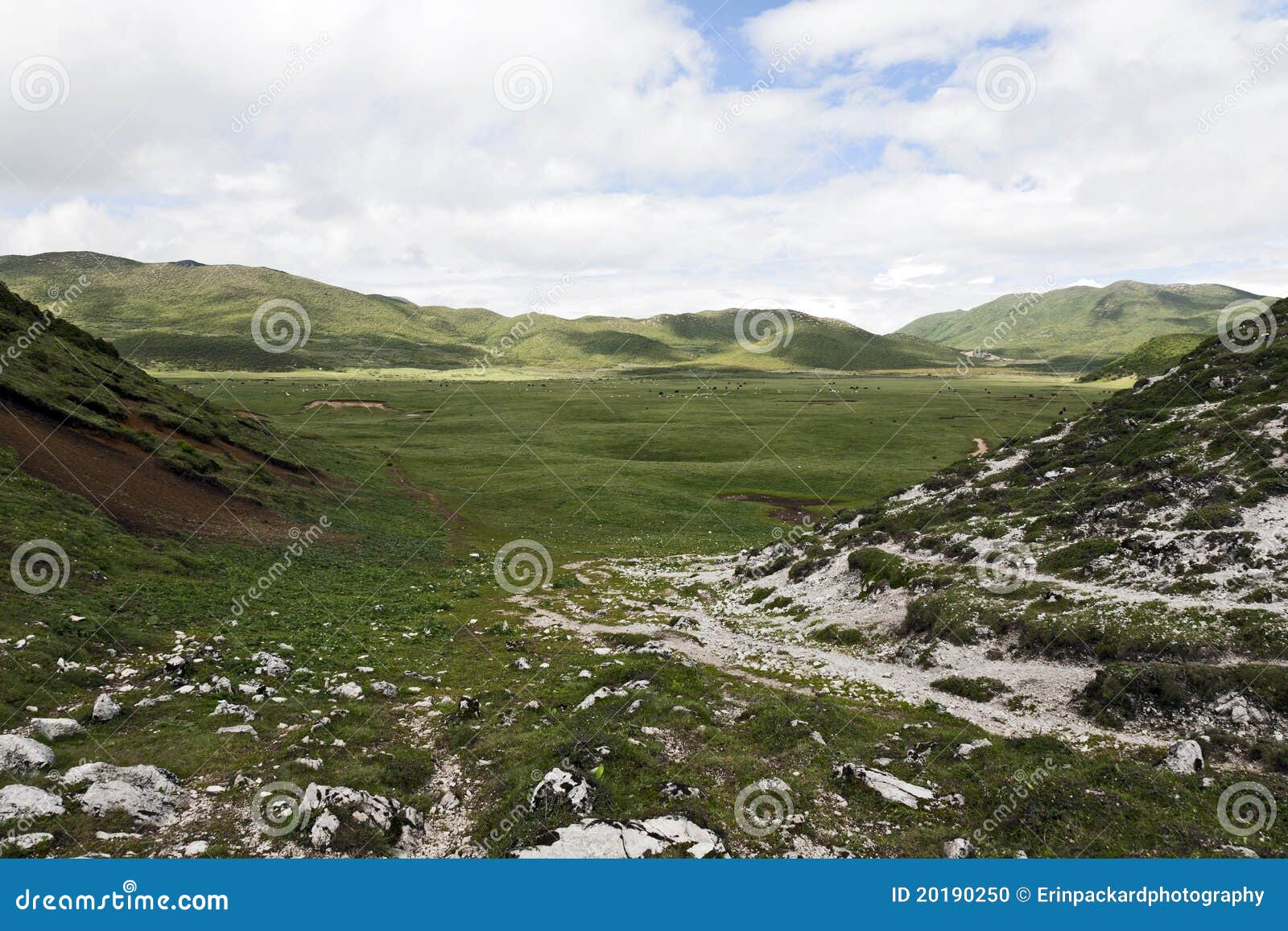 Great Open Prairie stock photo. Image of hill, pastures - 20190250
