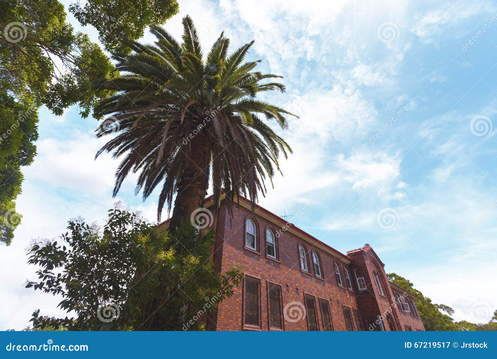 A Great Palm Tree beside a Mansion Stock Image - Image of french, brick ...