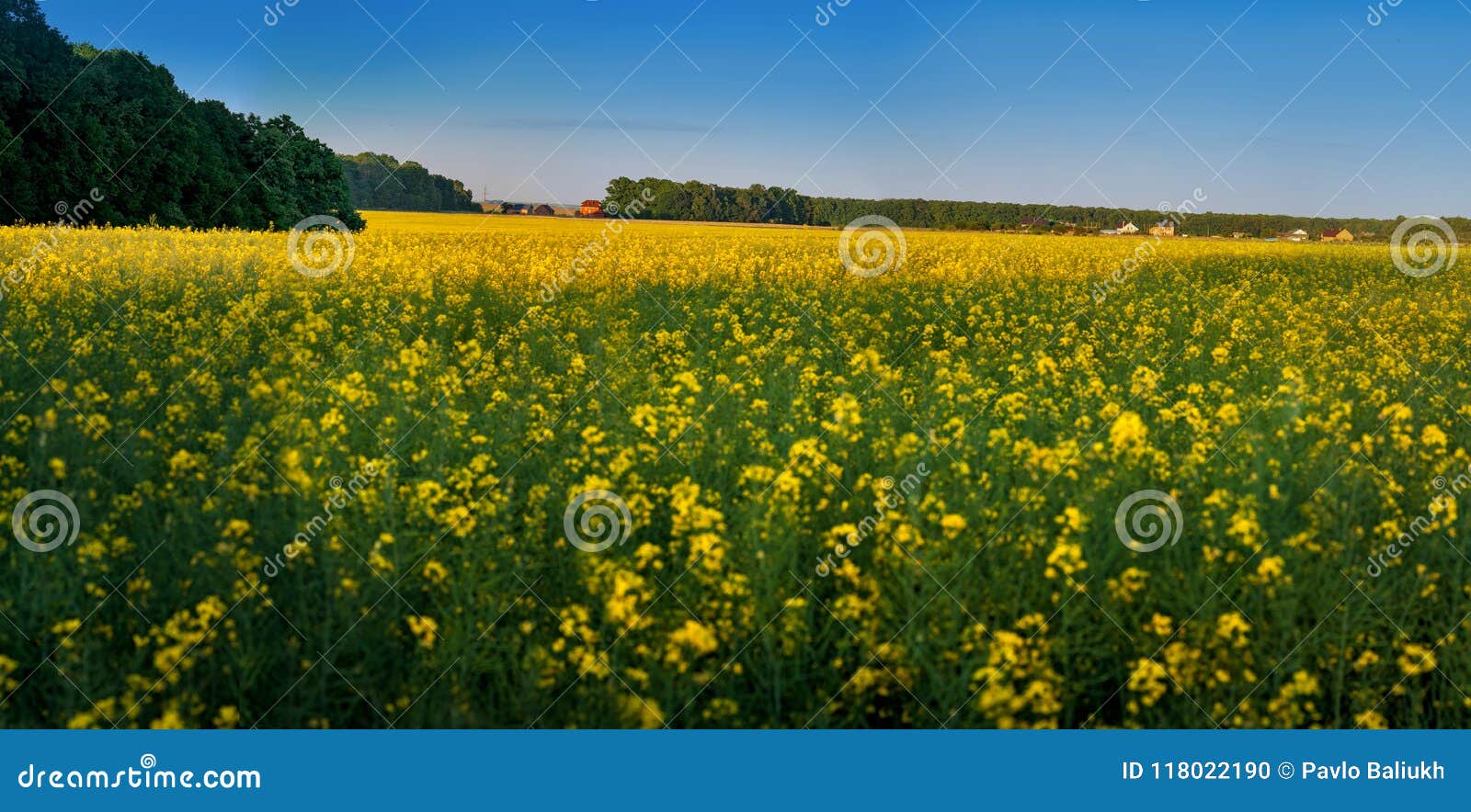 Great Panoramic View of Field Stock Photo - Image of field, lane: 118022190