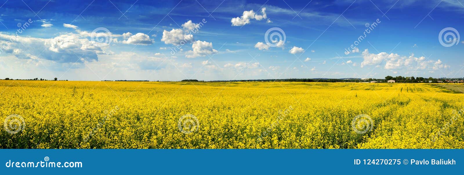 Panoramic View of Field in Ukraine Stock Image - Image of landscape ...