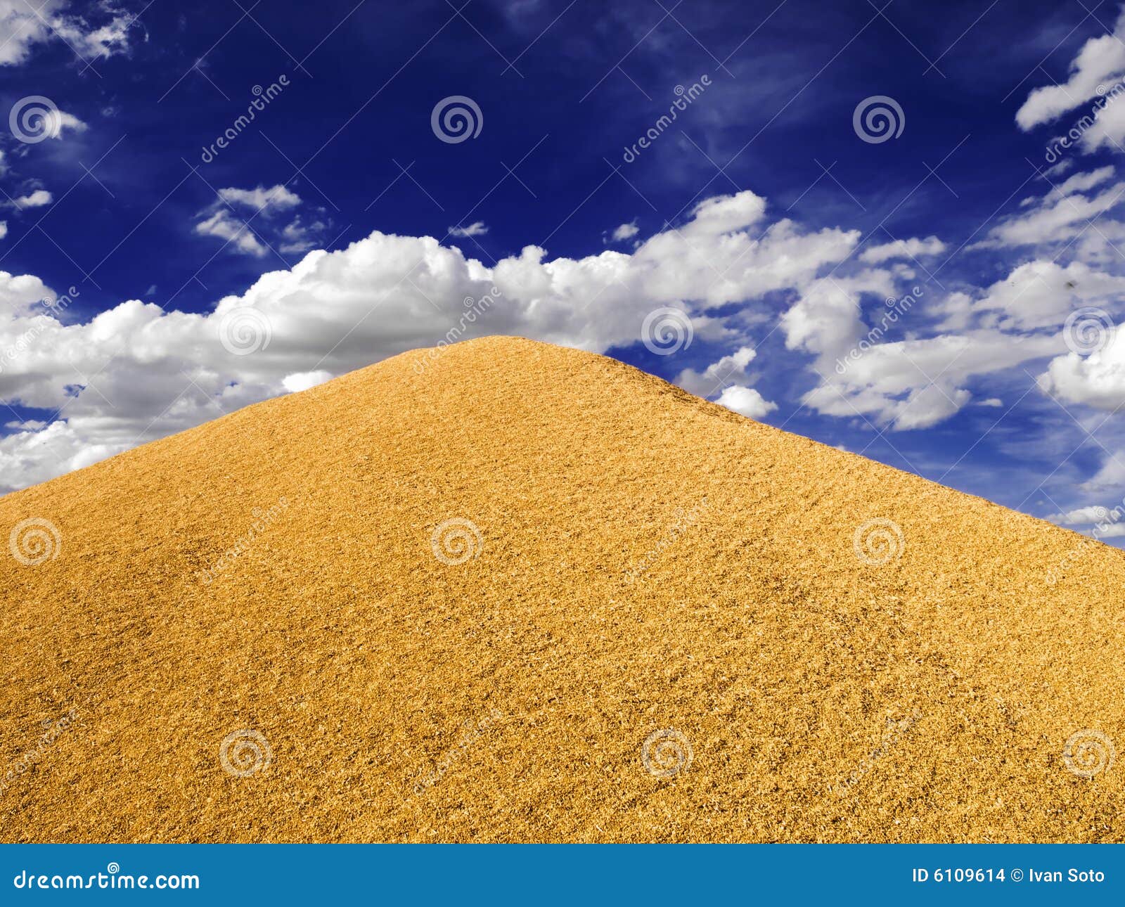 Great pile of wheat stock photo. Image of grain, food - 6109614