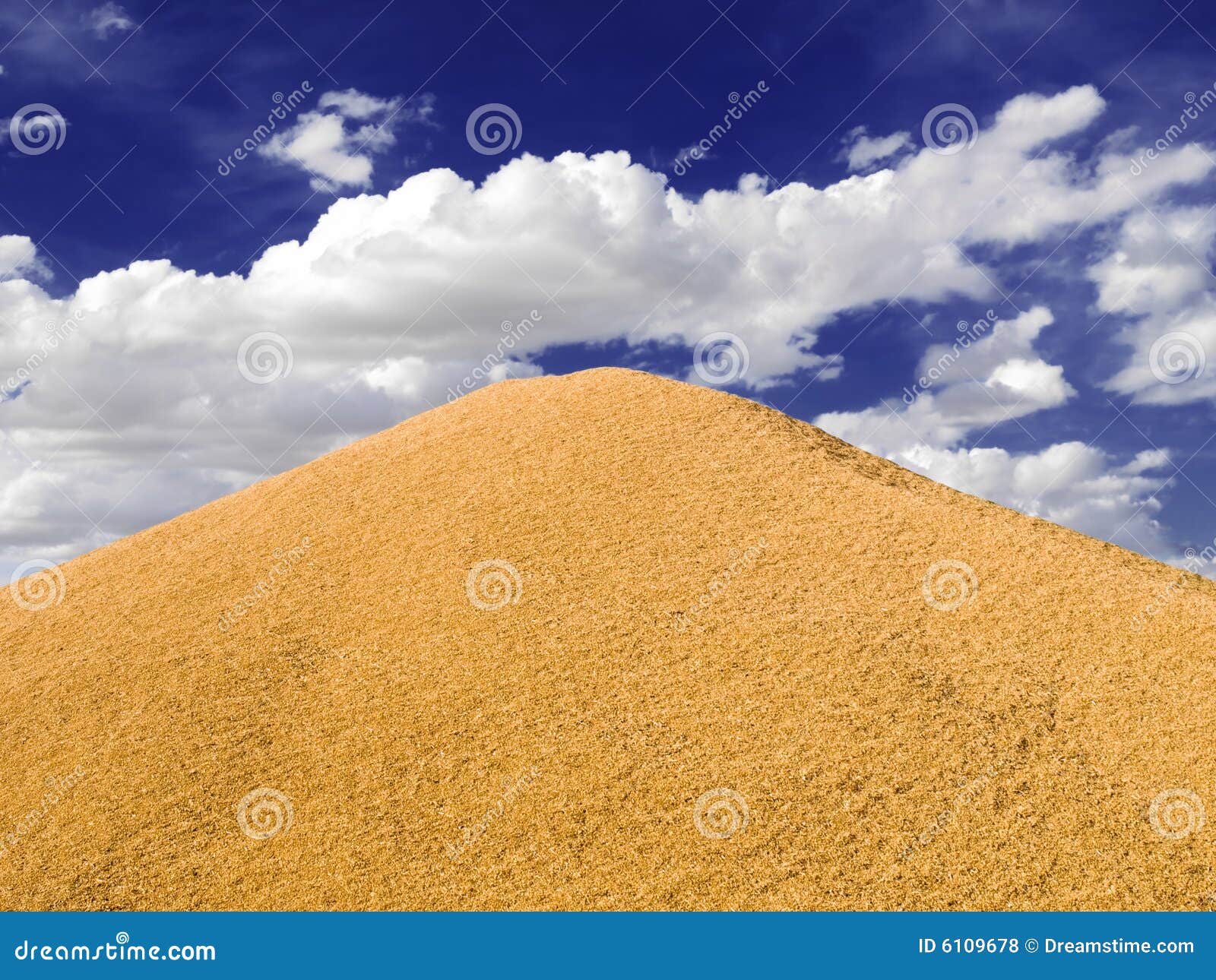 Great pile of wheat fotografia stock. Immagine di grain - 6109678