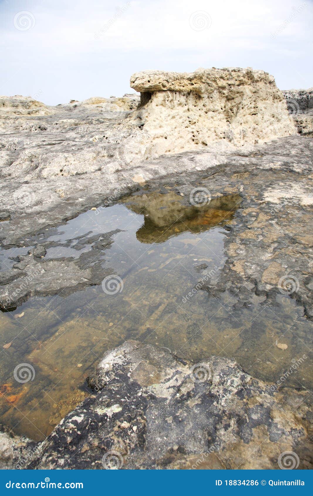 Great puddle on rock stock photo. Image of water, pond - 18834286