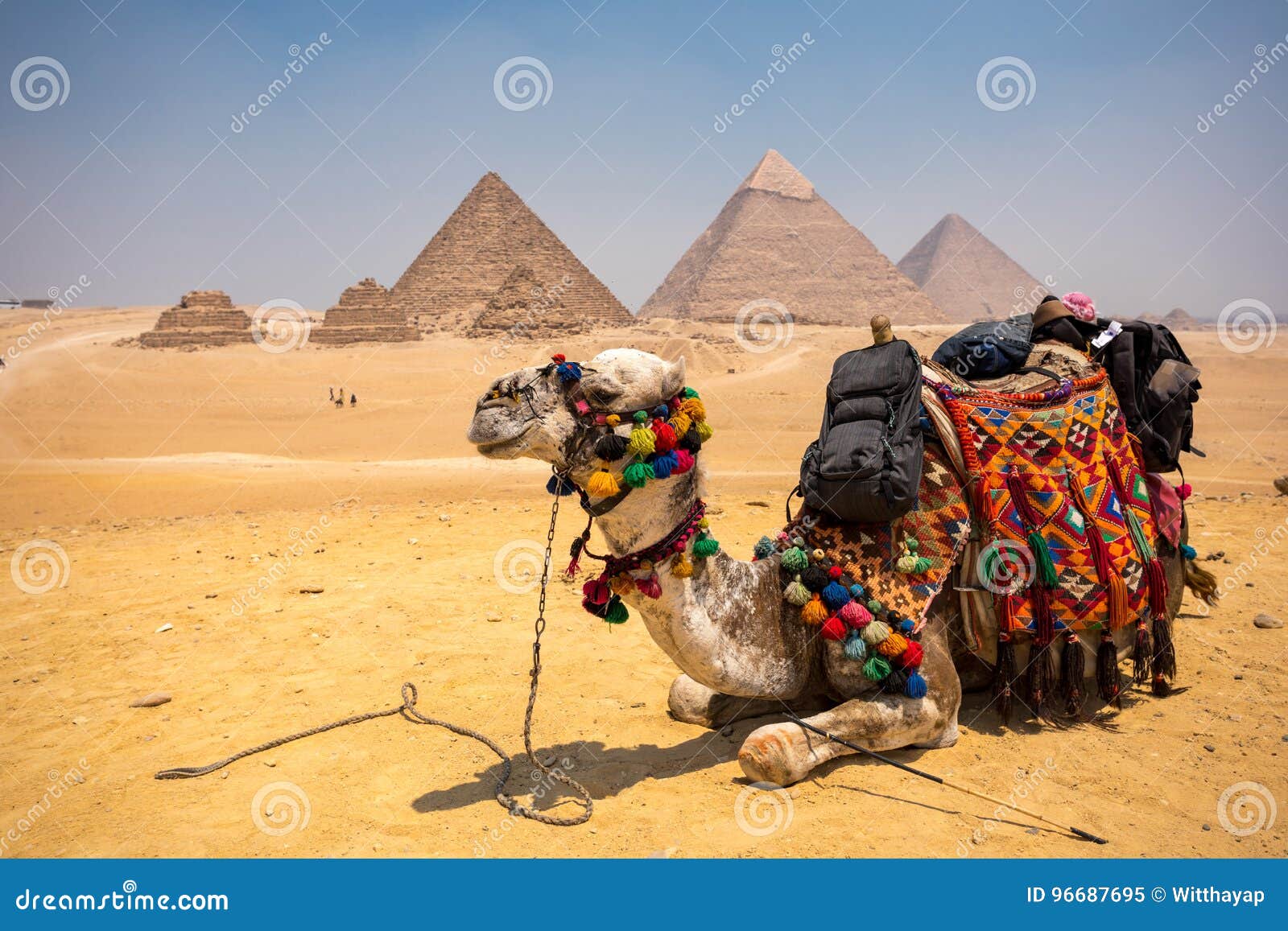 The Great Pyramid with Camel Stock Image - Image of khafre, egypt: 96687695
