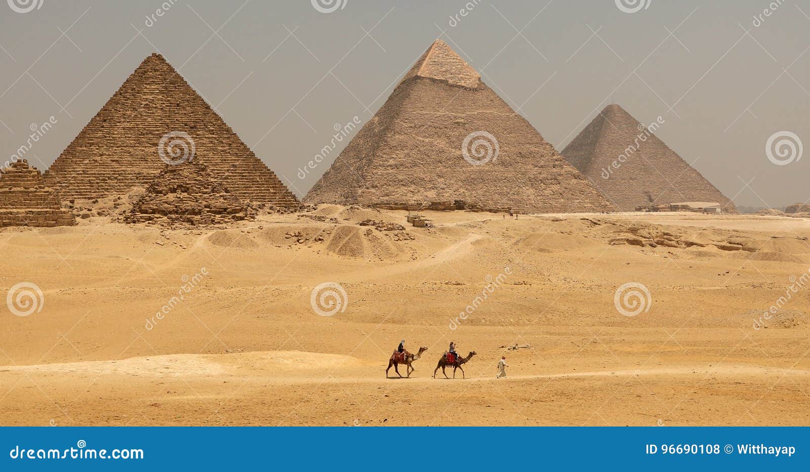 The Great Pyramid with Camel Stock Photo - Image of desert, historic ...
