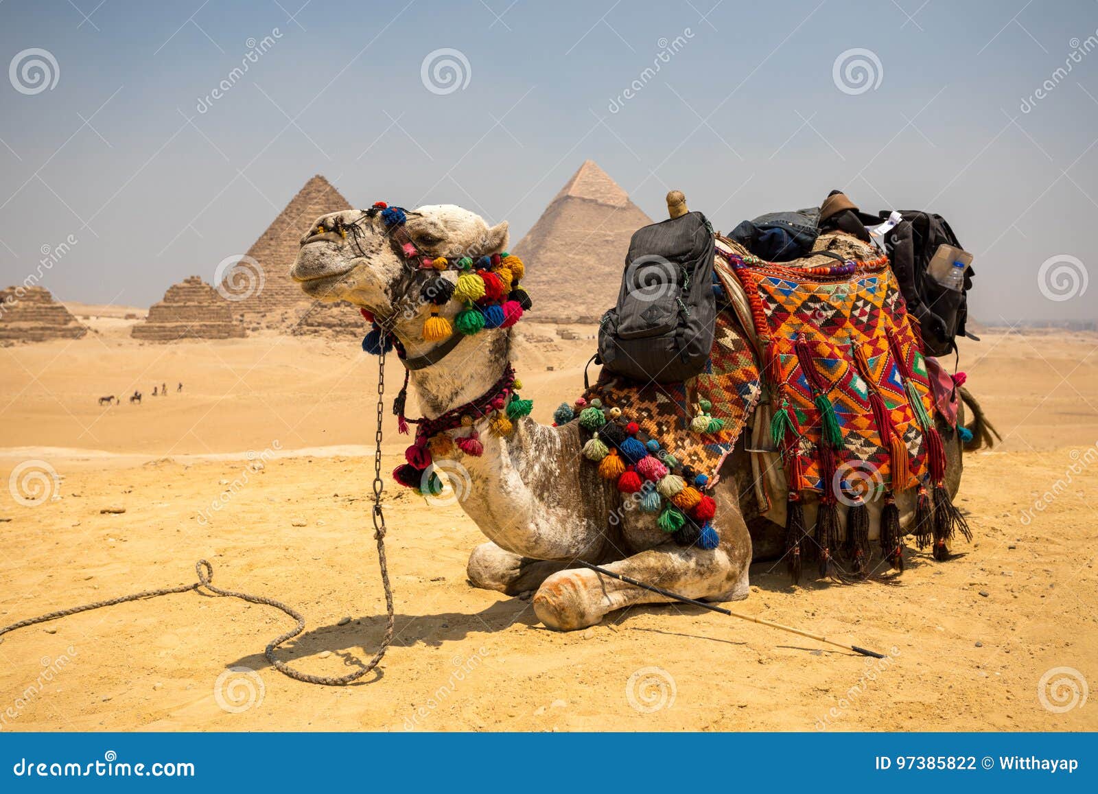 The Great Pyramid with Camel Stock Photo - Image of beautiful, landmark ...